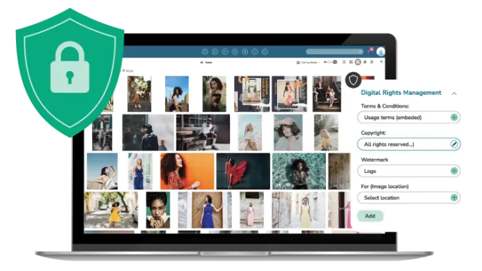 Canto Digital Asset Management DAM Software | databasics Australia