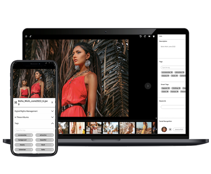 Digital Asset Management (DAM) for Small Business in Australia | Canto