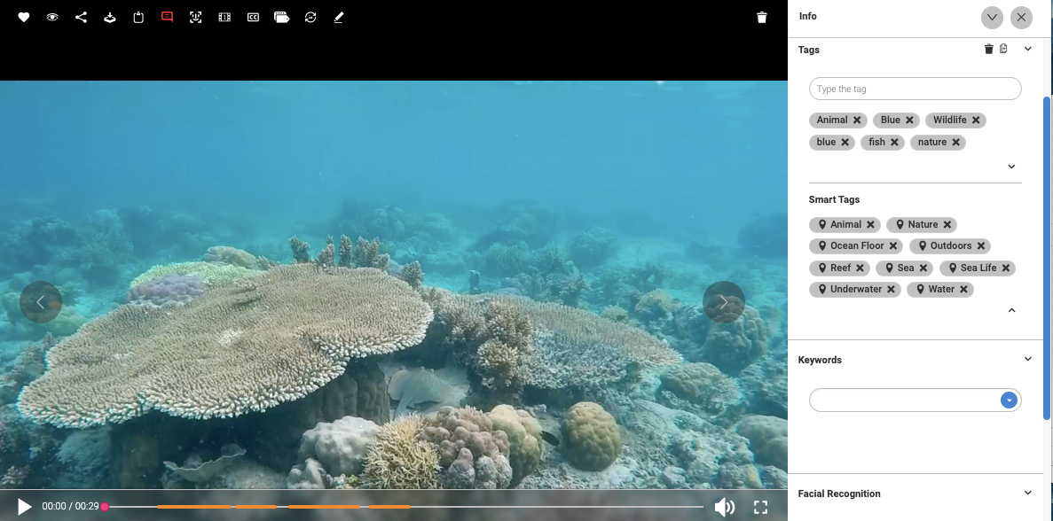 What does LLM mean in digital asset management (DAM)