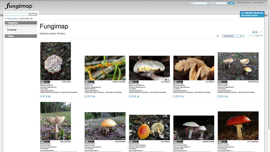 Royal Botanic Gardens Melbourne RBG